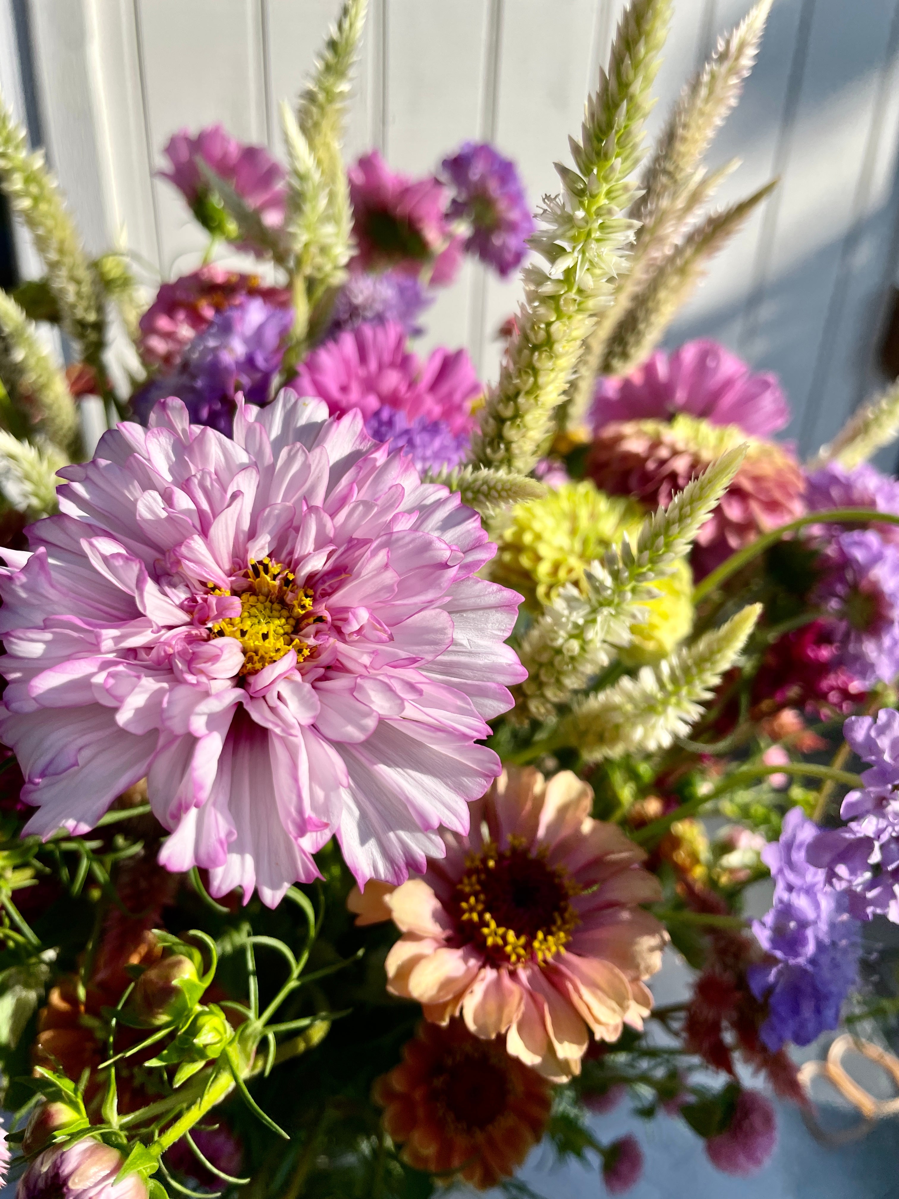 Fishers Flower Farm
