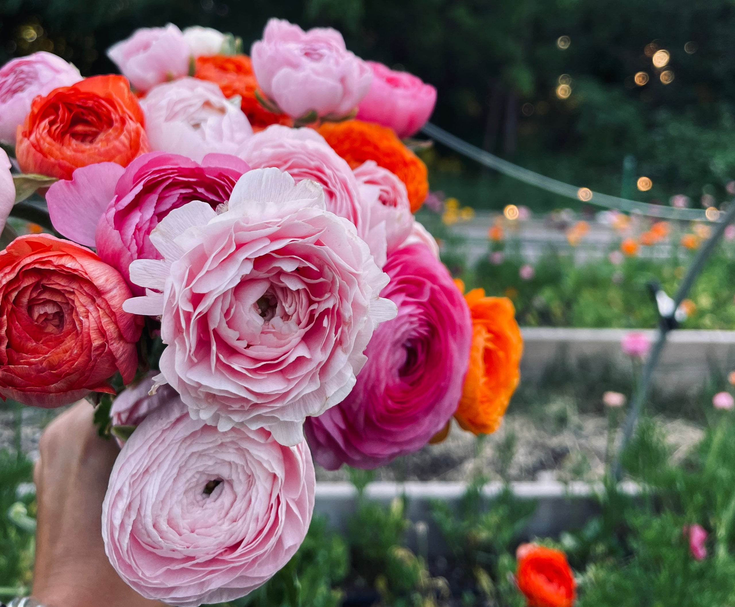 WED MAY 22 Bouquet Preorder Pickup | Fishers Flower Farm