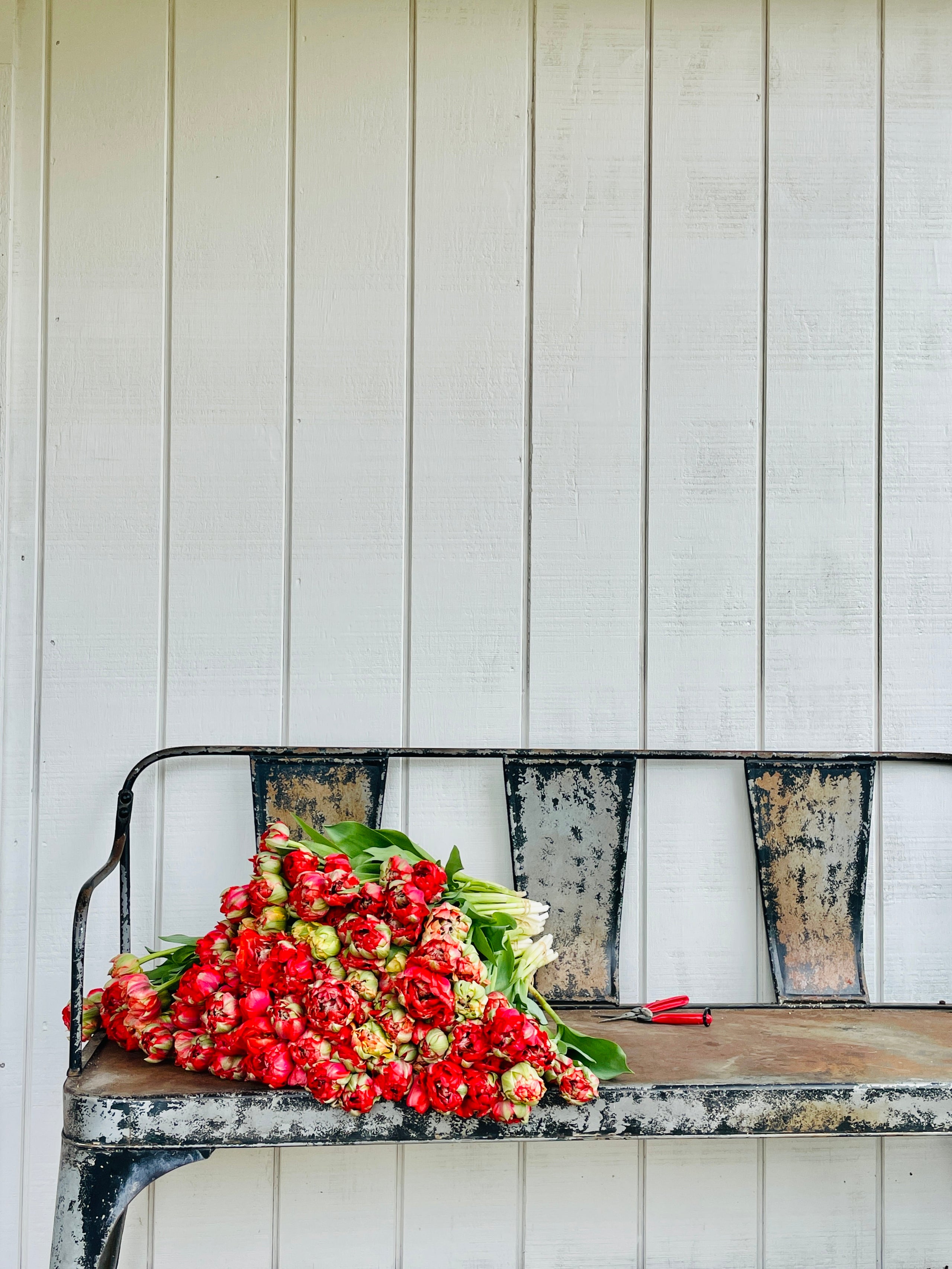 Full Spring Flower Delivery Subscription 2025 | Fishers Flower Farm