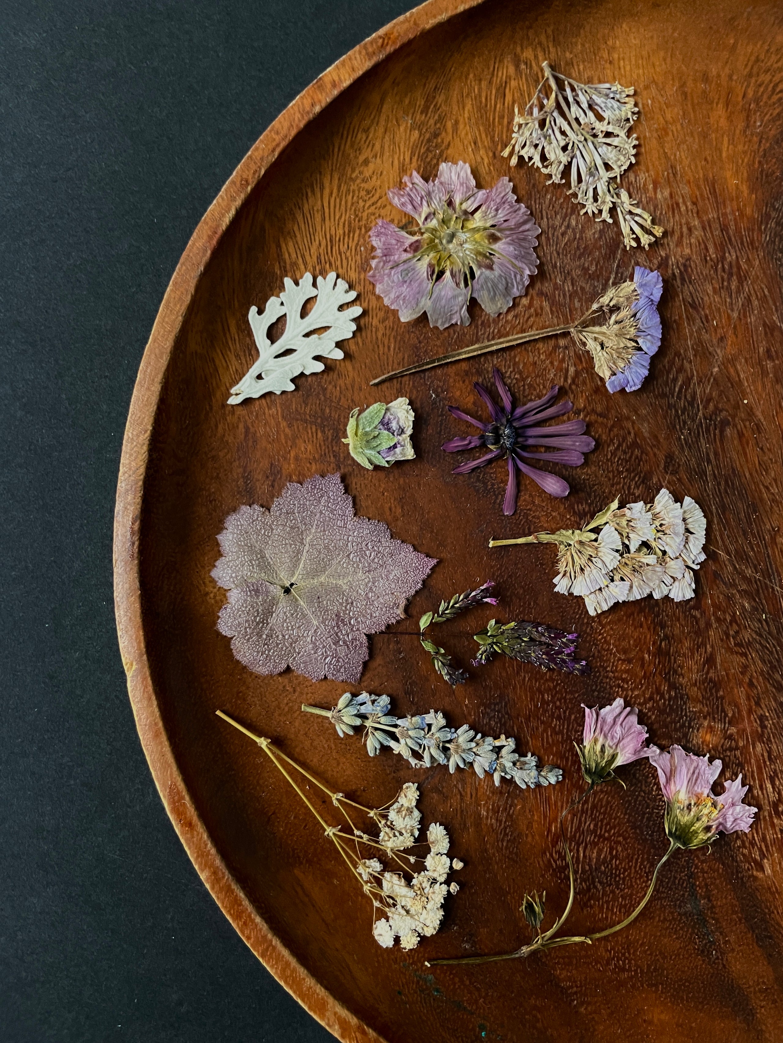 Pressed Botanicals | Fishers Flower Farm